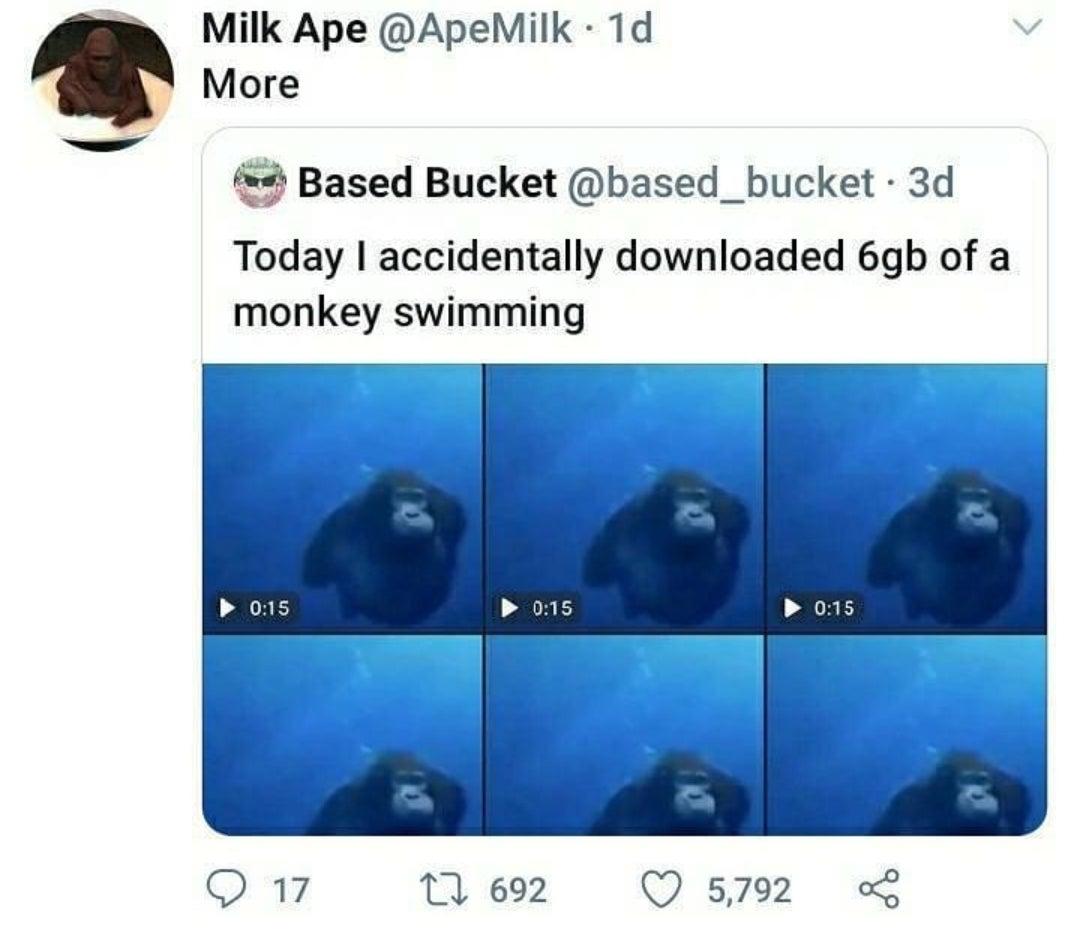 more | Water Monke / Searching For The Sea Banana | Know Your Meme