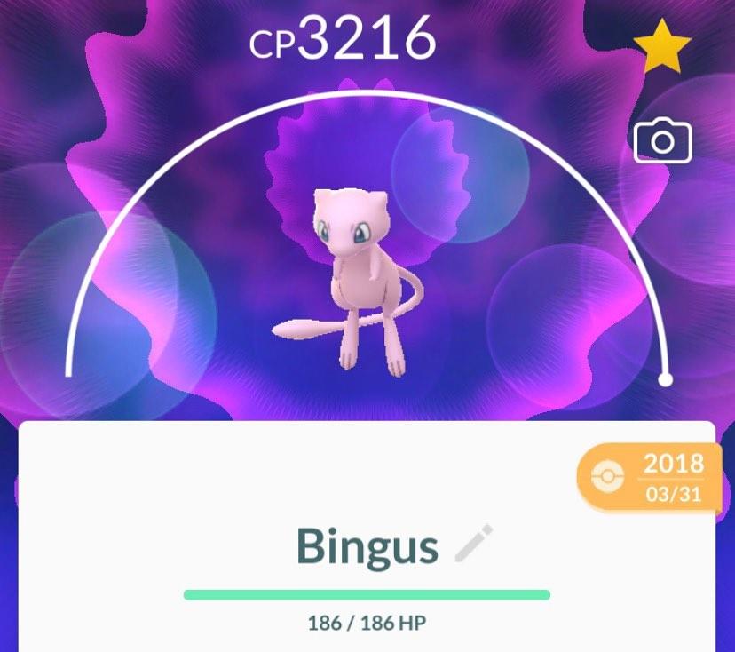 this is mew say hi mew | Bingus | Know Your Meme