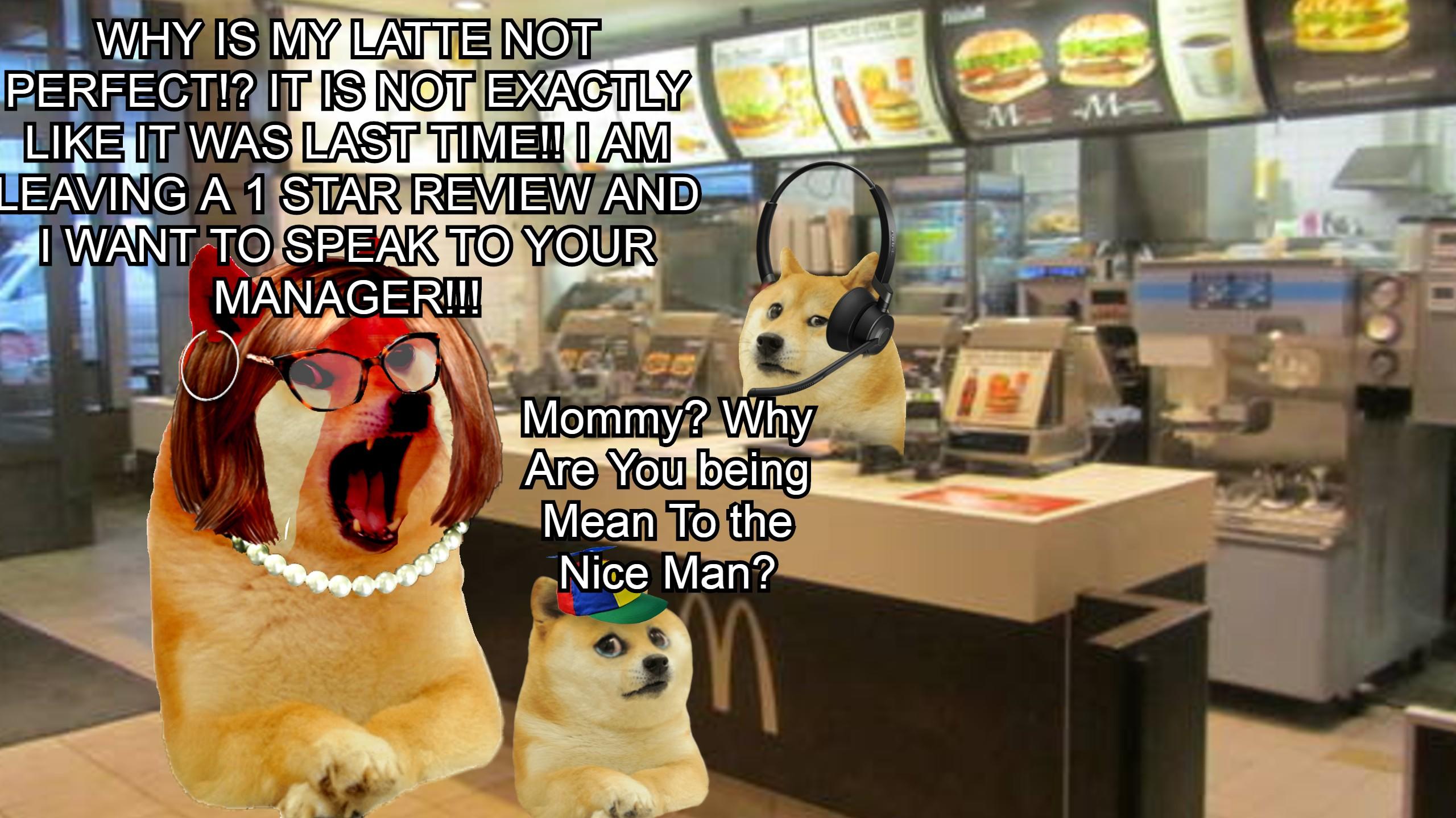 Lil bro more sensible | /r/dogelore | Ironic Doge Memes | Know Your Meme