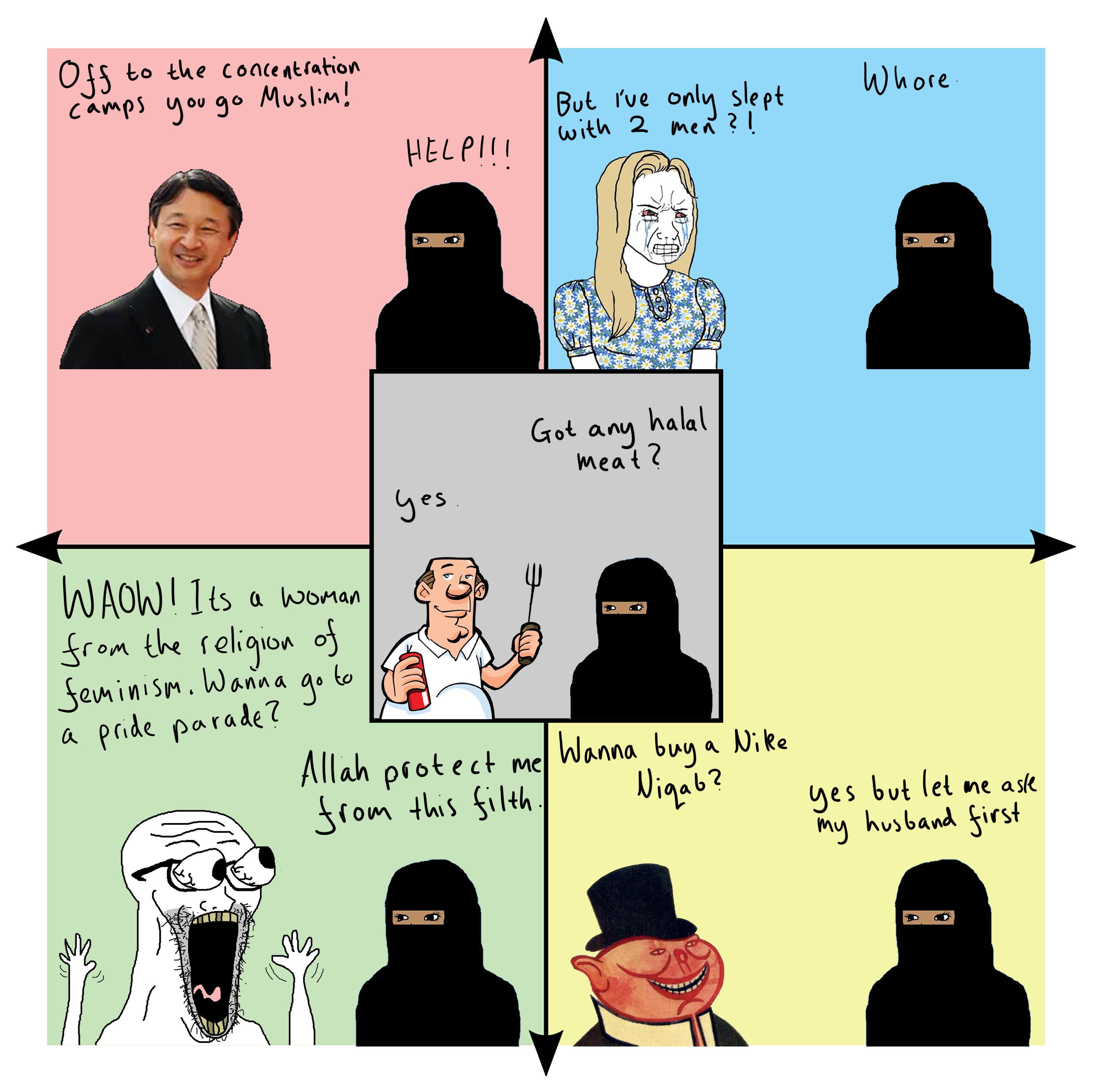 The political compass interacts with an IRL Niqabi | /r ...