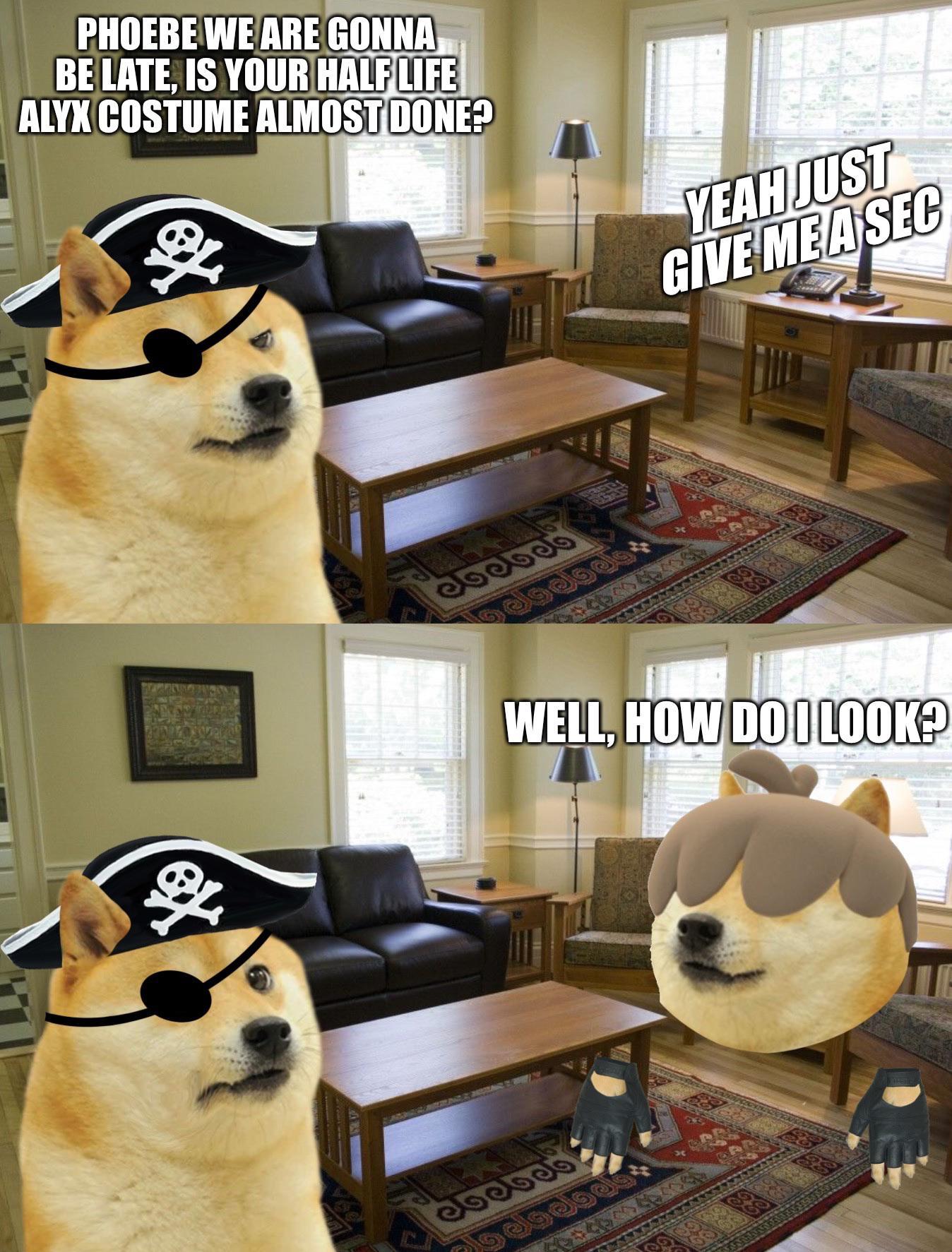 Le Halloween costume has arrived | /r/dogelore | Ironic Doge Memes ...