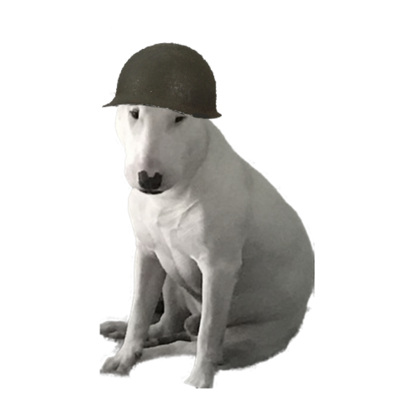 Soldier Walter | /r/dogelore | Ironic Doge Memes | Know Your Meme