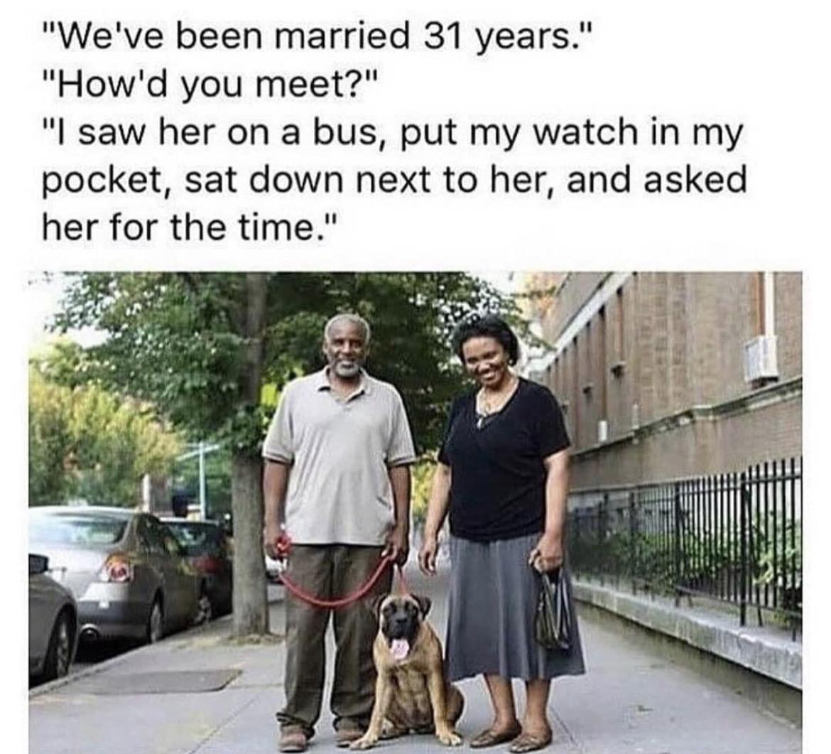 Smooth operator begins to play | /r/wholesomememes | Wholesome Memes ...