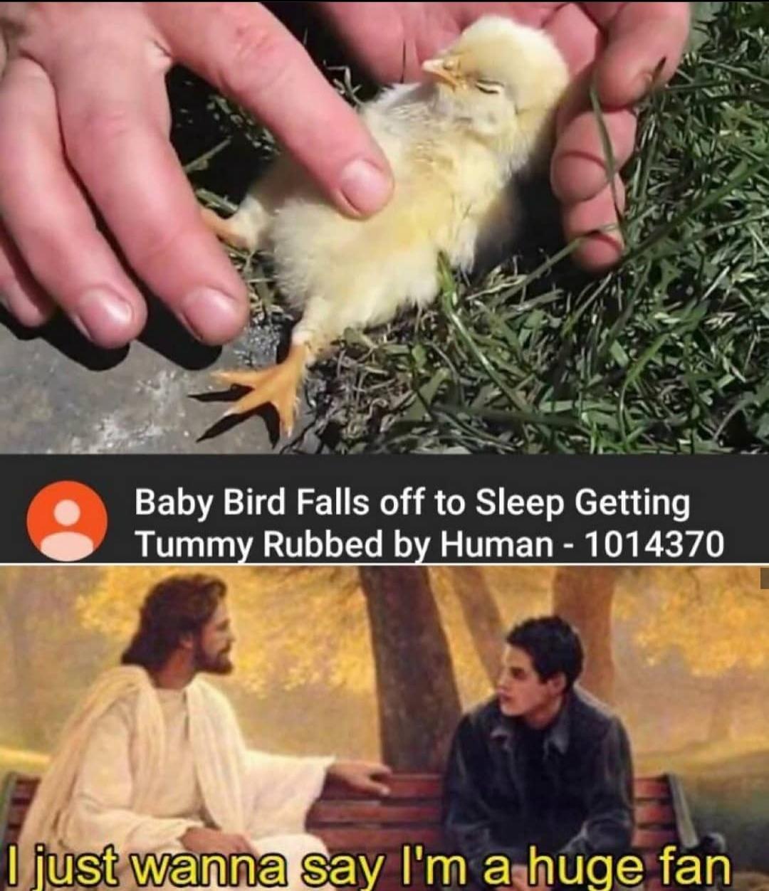 I just am a huge fan you know | /r/wholesomememes | Wholesome Memes ...