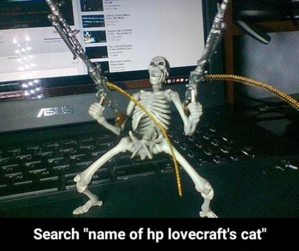 Search "name of hp lovecraft's cat" | H.P. Lovecraft's Cat | Know Your Meme
