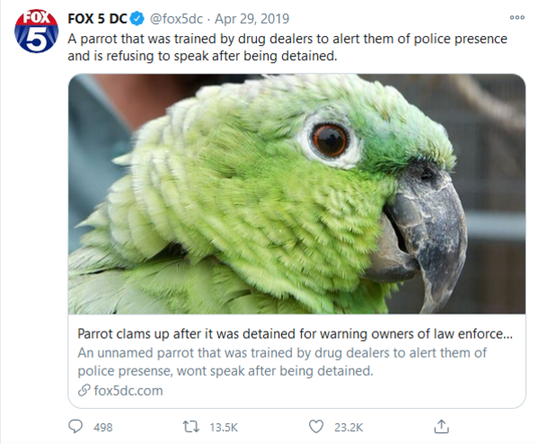 A parrot that was trained by drug dealers to alert them of police ...