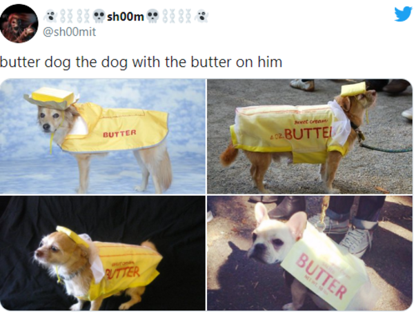 Butterdog Halloween Costume | Butterdog | Know Your Meme