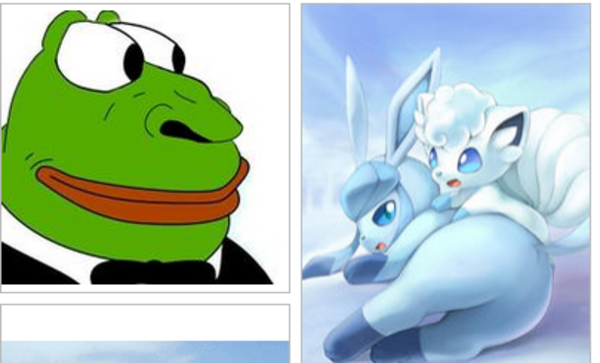 Pepe NO! | Know Your Meme | Know Your Meme