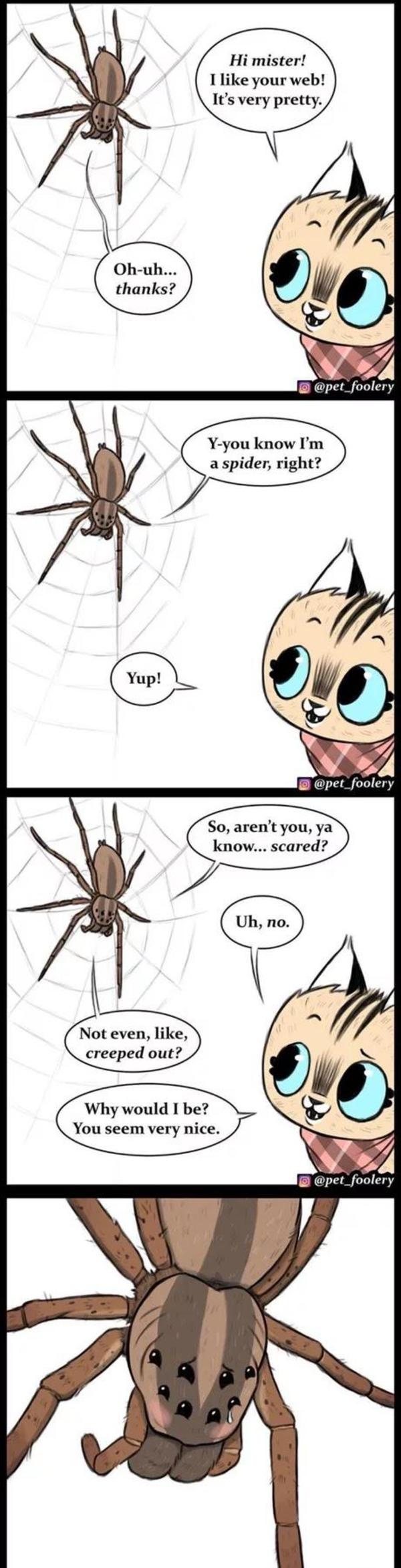 Happy spider noises ️ | /r/wholesomememes | Wholesome Memes | Know Your ...