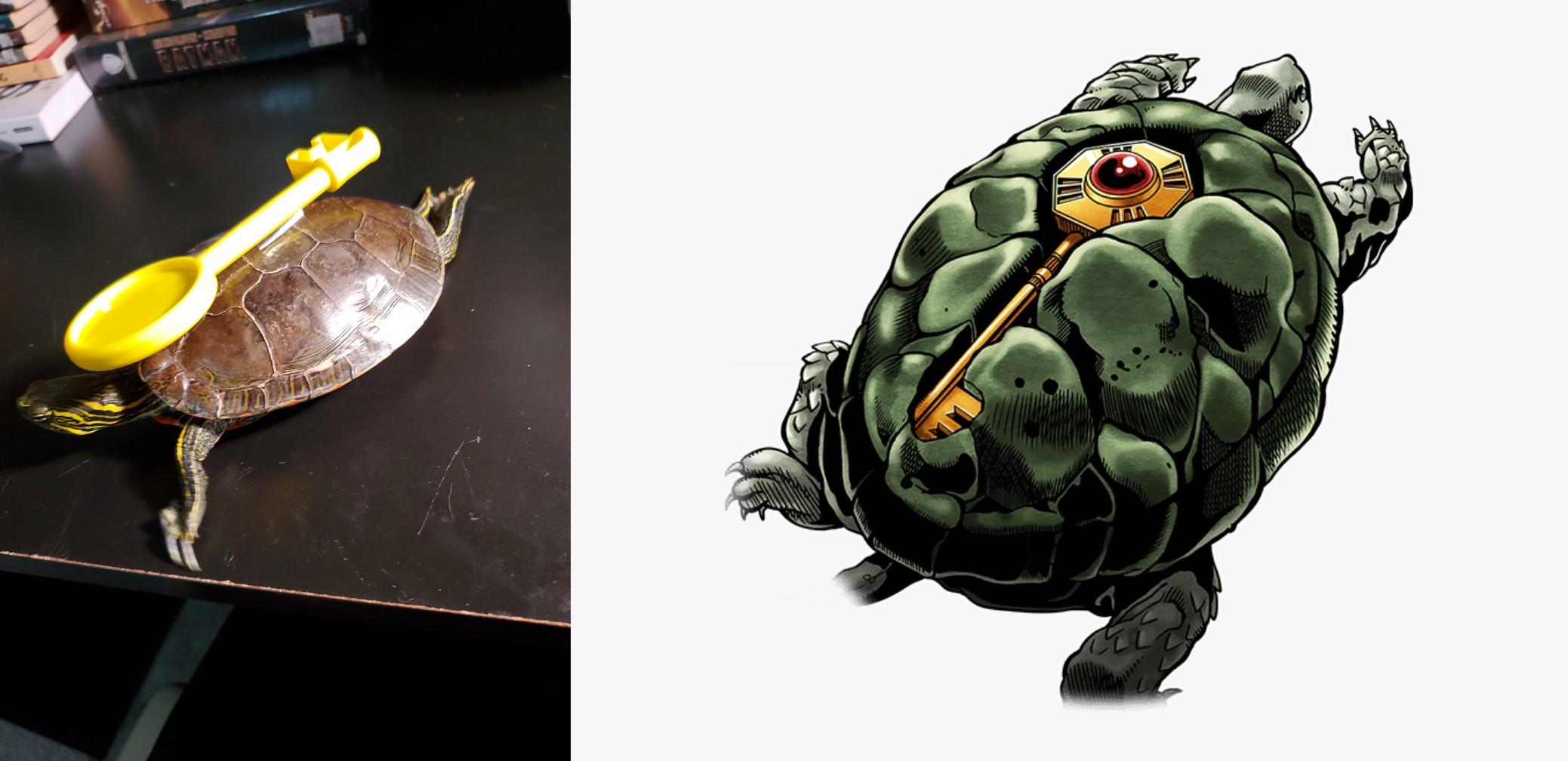 Ya guys like my Turtle's Halloween costume? He worked really hard in it ...