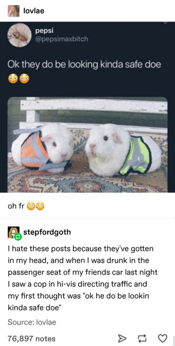 the road is safe | Animals | Know Your Meme