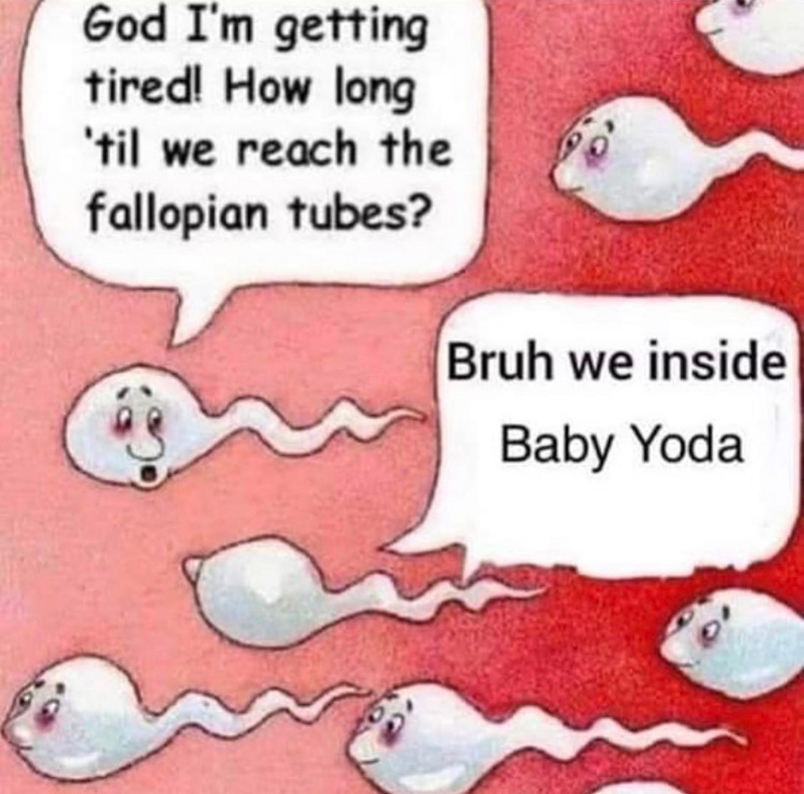Bruh We Inside Baby Yoda | Two Sperm Cells Talking | Know Your Meme