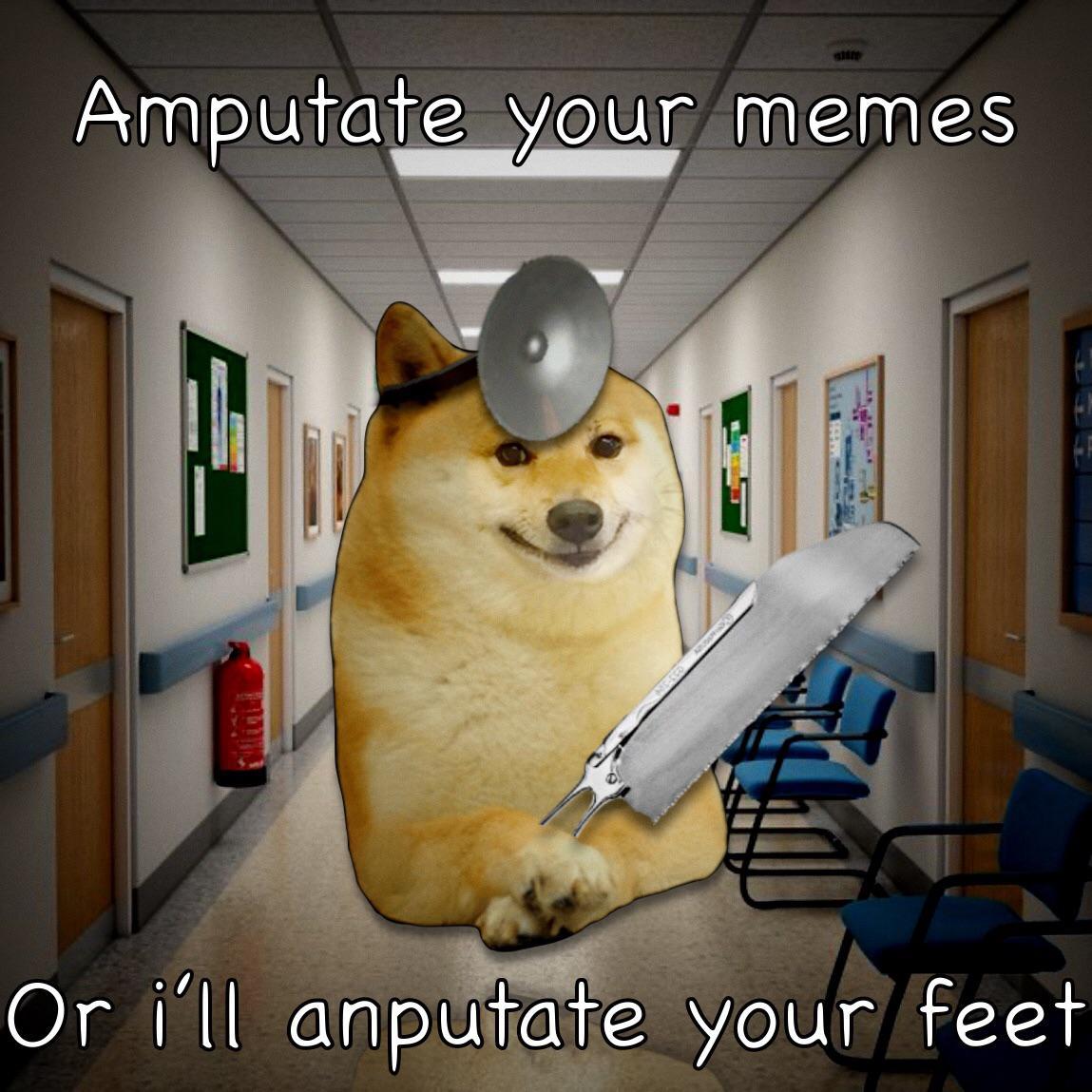 Le doctor has arrived to see you | /r/dogelore | Ironic Doge Memes ...