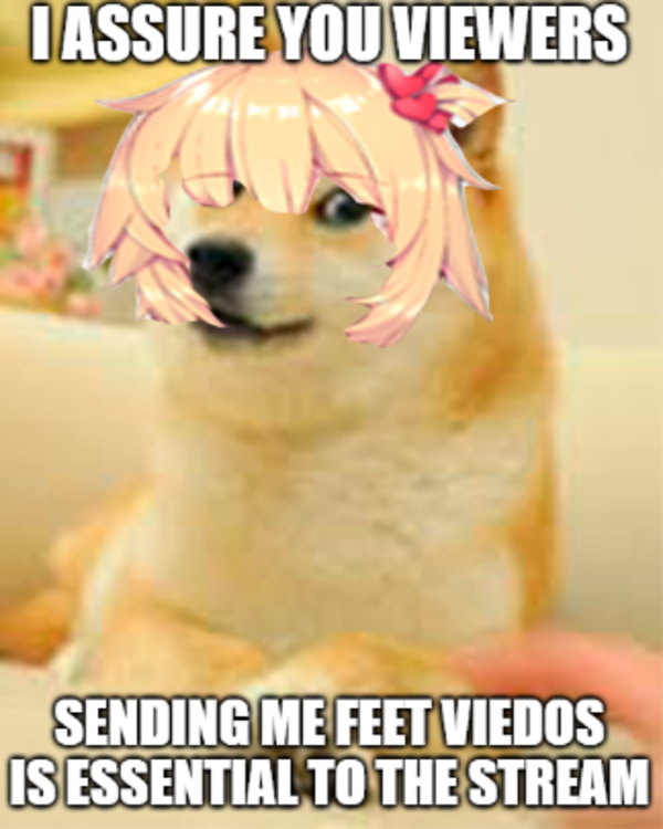 Le feet videos have arrived | /r/dogelore | Ironic Doge Memes | Know ...