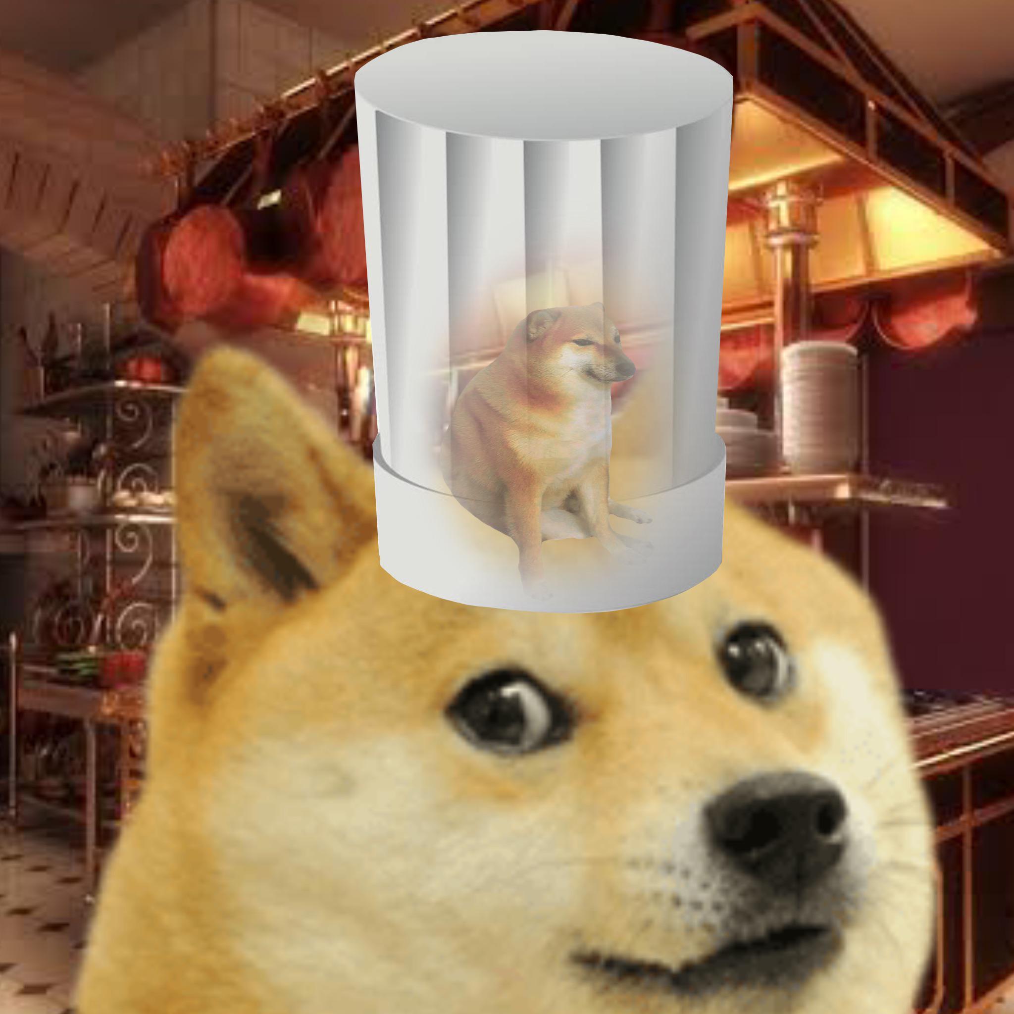 Little chef | /r/dogelore | Ironic Doge Memes | Know Your Meme