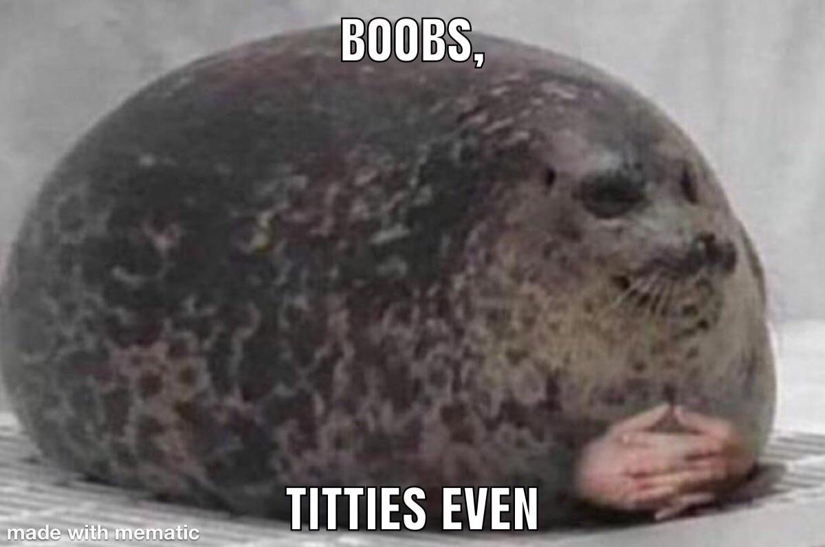 Boobs Titties Even Boobs Titties Even Honkers If You Feel So