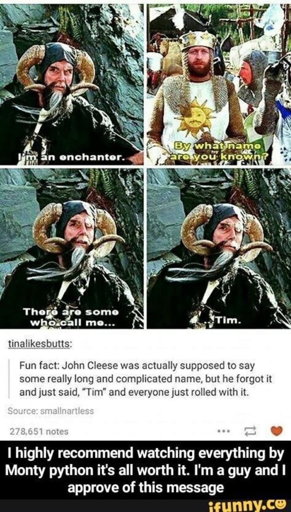 The Story Behind Tim the Enchanter | Reddit | Know Your Meme