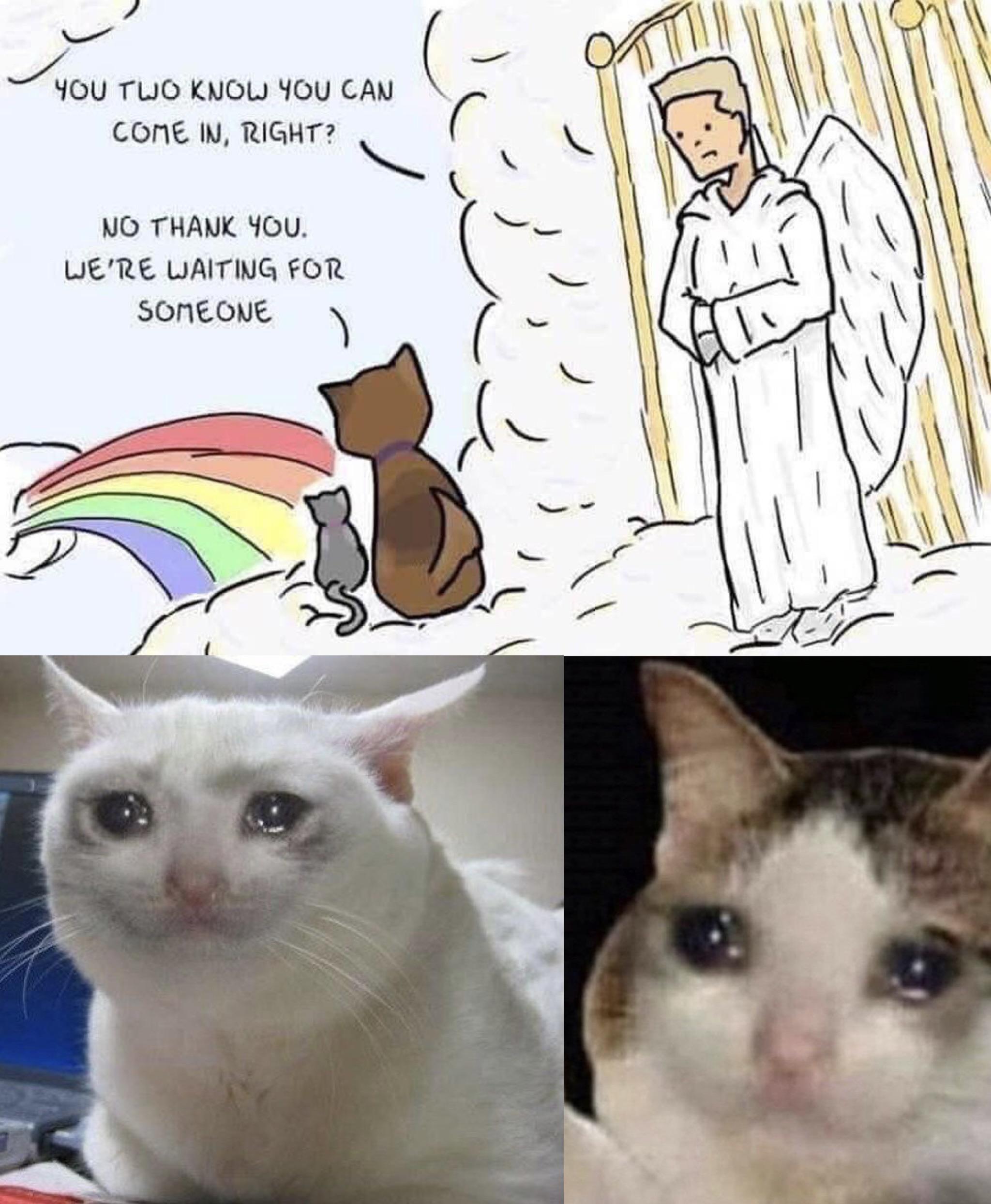 Be right back, gonna go spend time with my pets. | /r/wholesomememes ...