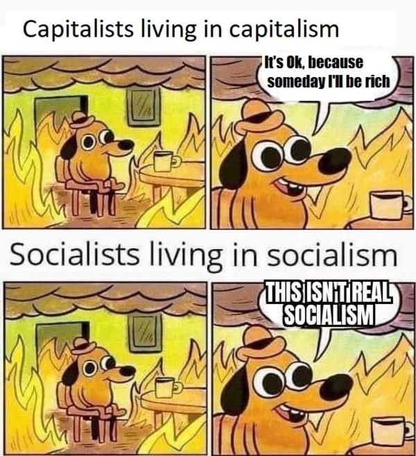 Cope is universal | This Is Fine | Know Your Meme