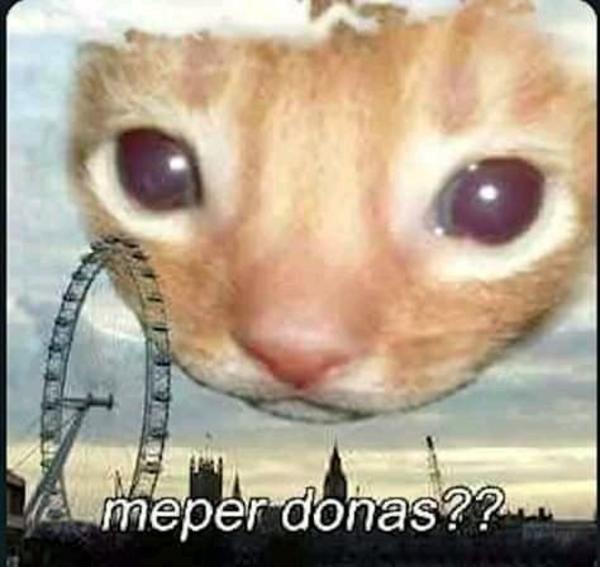 me perdonas simple version | Me Perdonas? | Know Your Meme