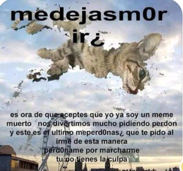 W0uld y0u let me die¿ | Me Perdonas? | Know Your Meme