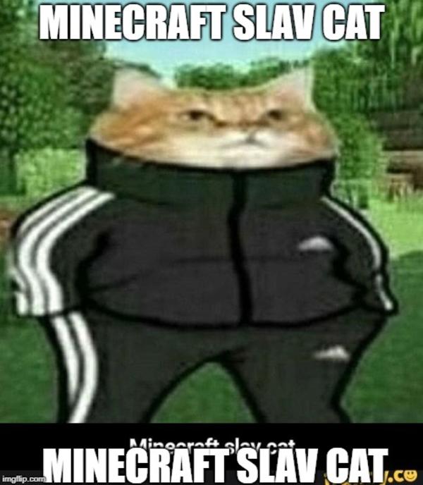 Minecraft Slav Cat | Slav Cat / Slav Cheebs | Know Your Meme