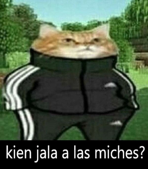 Kien Jala a Las Miches? | Slav Cat / Slav Cheebs | Know Your Meme