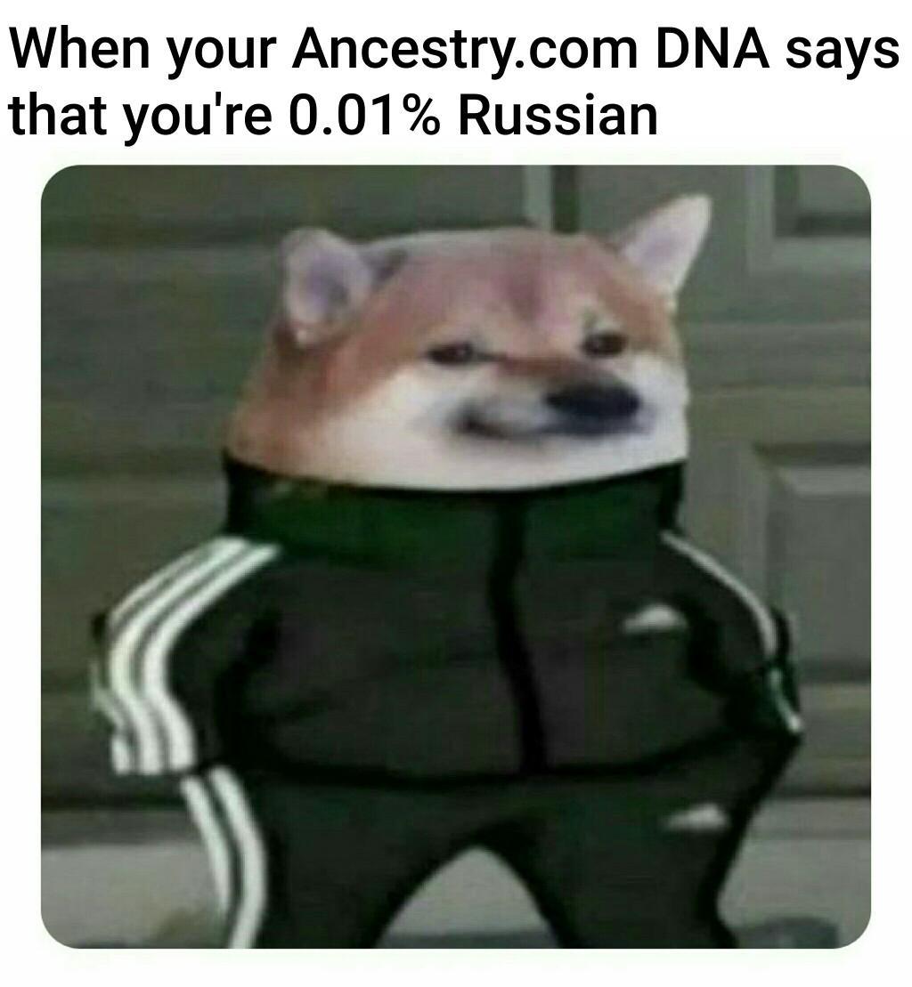 When Your Ancestry.com DNA Says That You're 0.01% Russian | Slav Cat ...