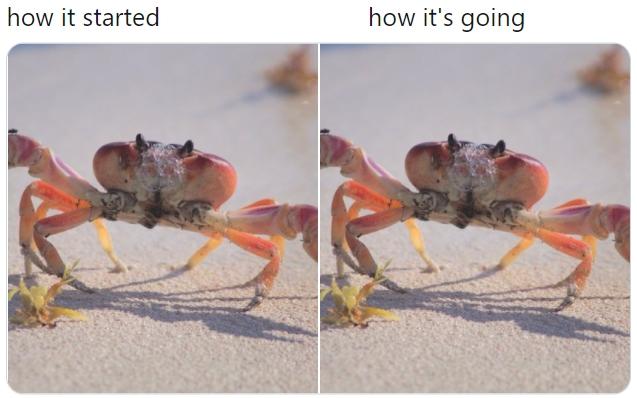 How it started / how it's going crab | Carcinization | Know Your Meme