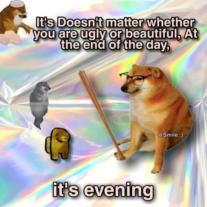 how's your day? | Cheems | Know Your Meme