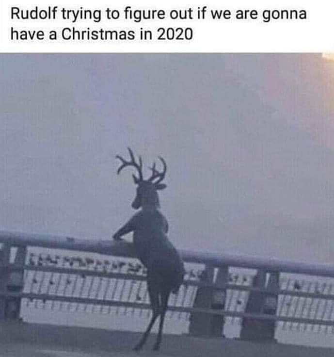 rudolph lost | Know Your Meme