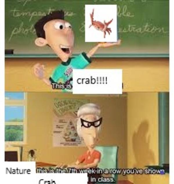 Crabs | Carcinization | Know Your Meme