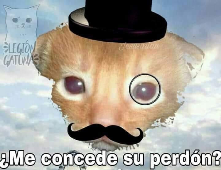 May I have your pardon? | Me Perdonas? | Know Your Meme