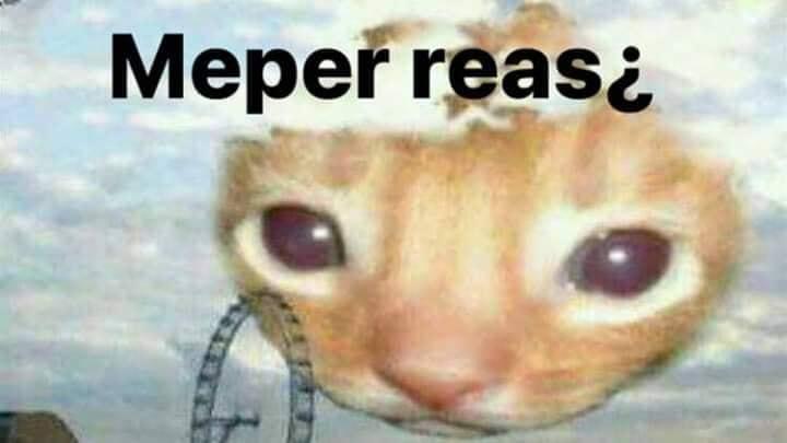 Perreo | Me Perdonas? | Know Your Meme