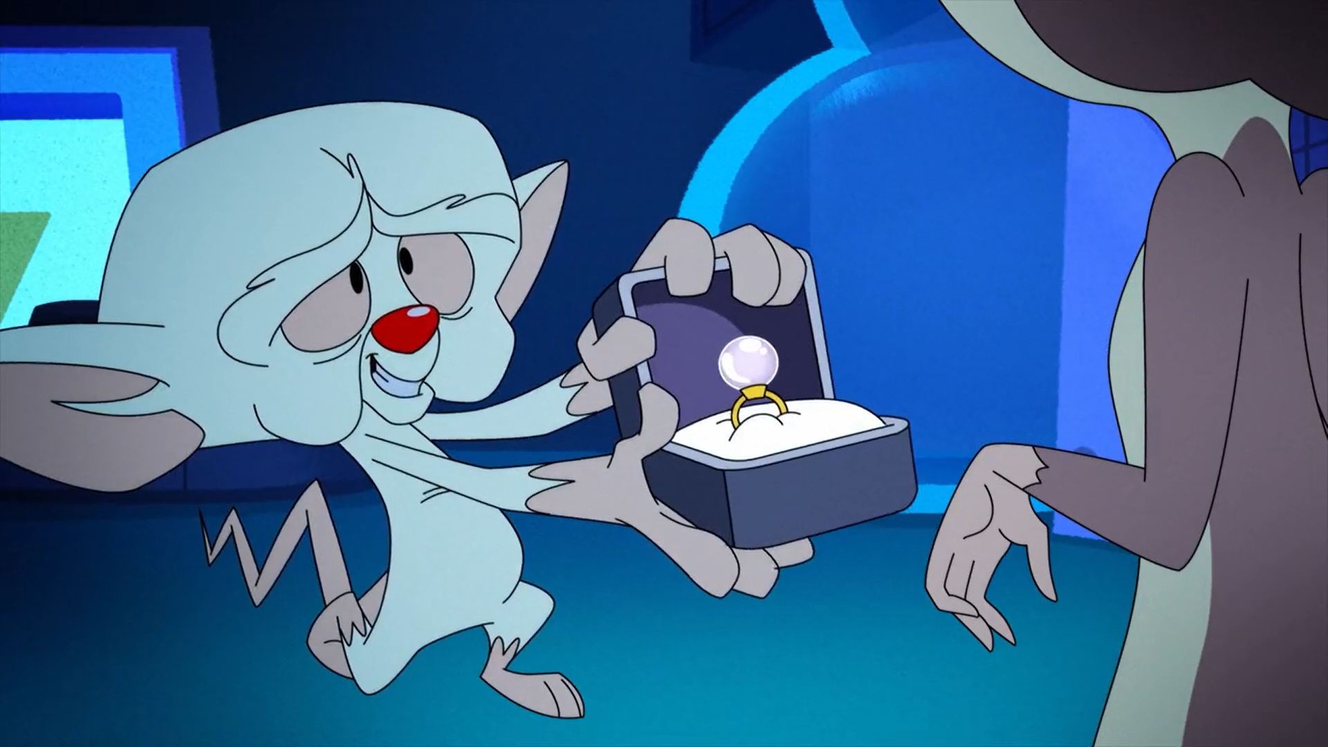 Absolute Mad Mouse | Animaniacs | Know Your Meme