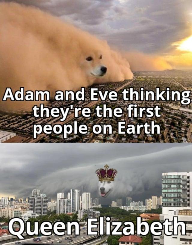 Queen Elizabeth | Dust Storm Dog | Know Your Meme