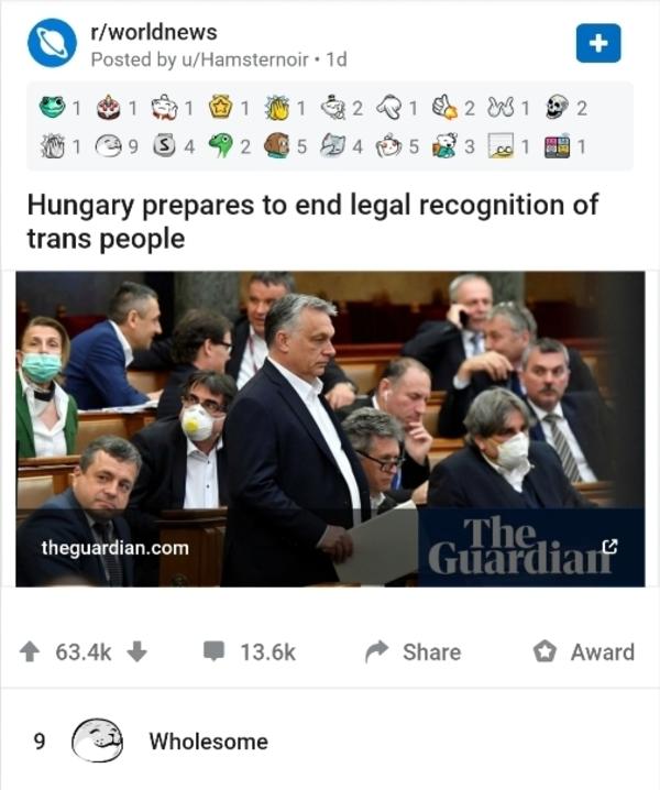 Wholesome 100 | Reddit Awards | Know Your Meme