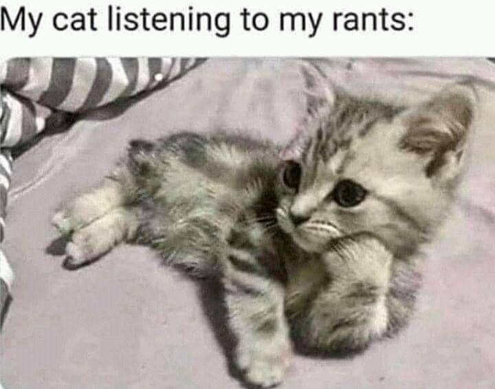 Good support system | /r/wholesomememes | Wholesome Memes | Know Your Meme