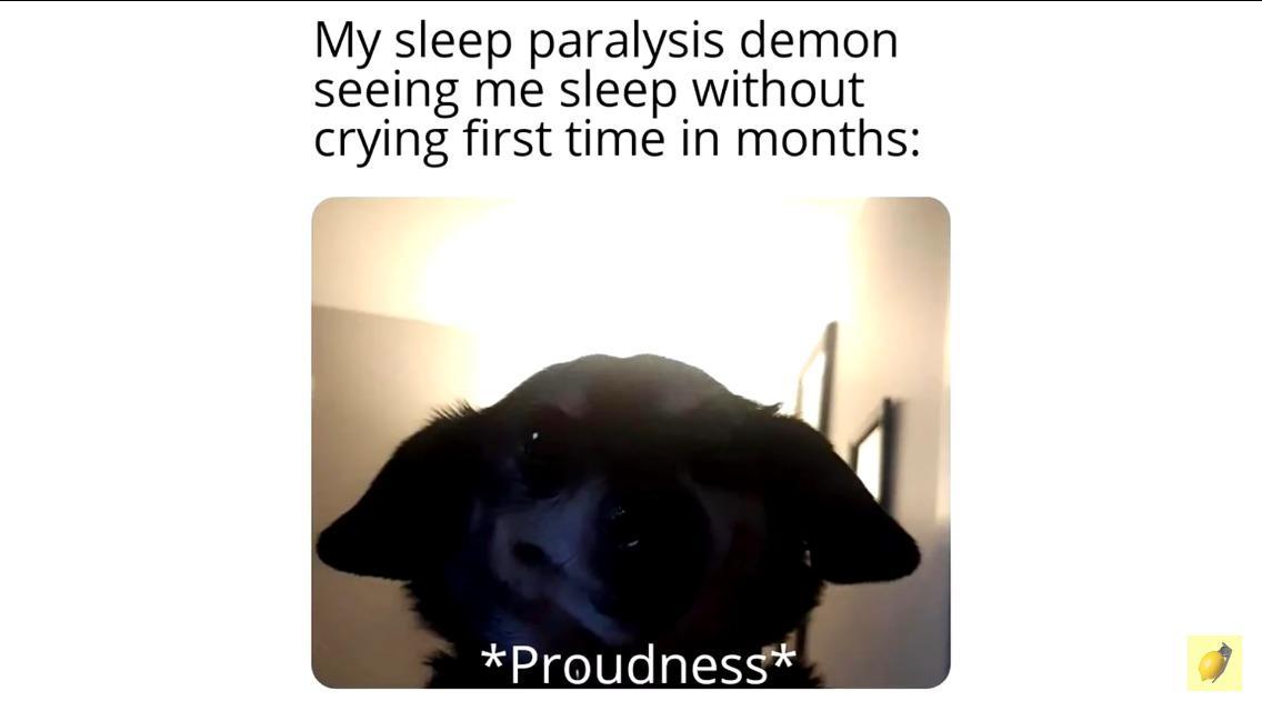 Kinda dank but overall wholesome | /r/wholesomememes | Wholesome Memes ...