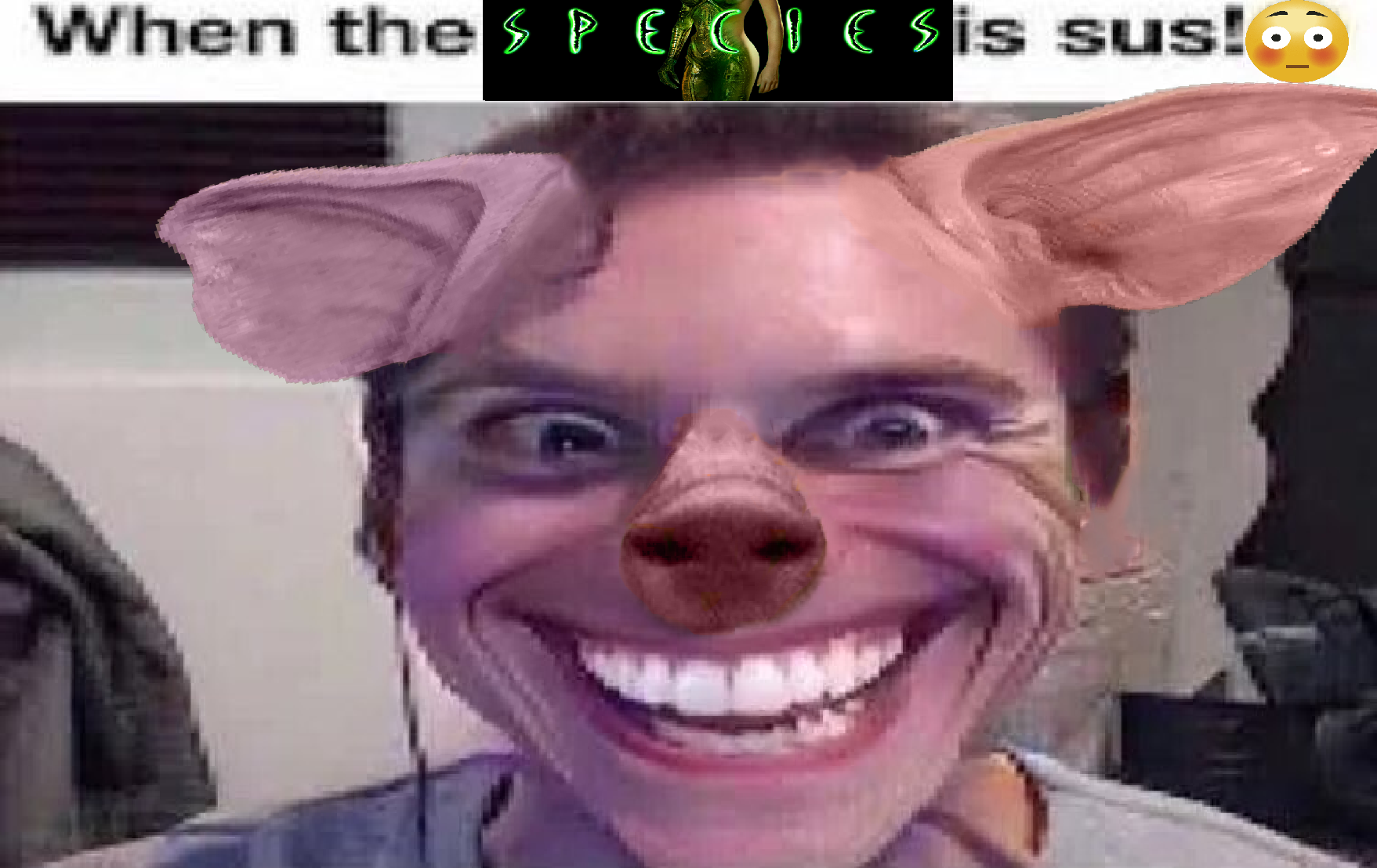 When the Species Is Sus | Jerma985 | Know Your Meme