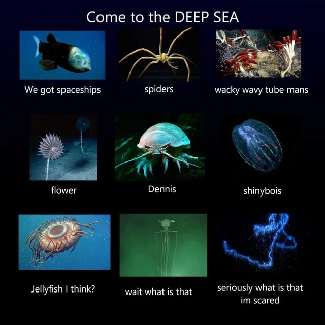 Deep-Sea Starterpack | /r/starterpacks | Starter Packs | Know Your Meme