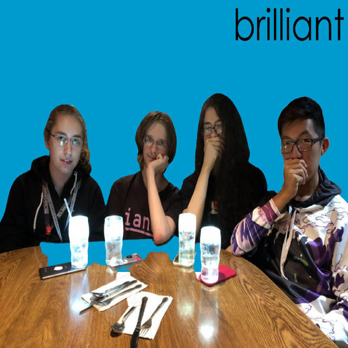 Brilliant | Weezer Blue Album Cover Parodies | Know Your Meme