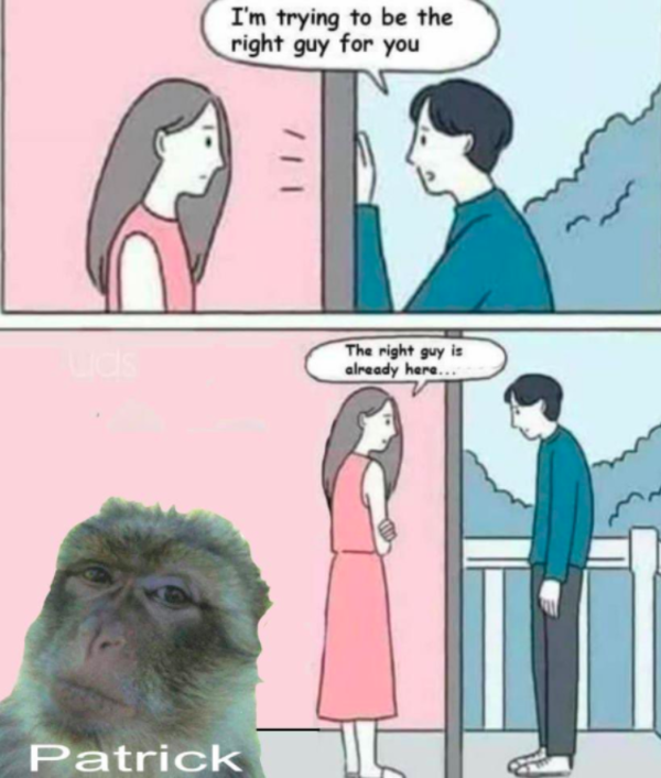 Perfect Patrick | Monkeys / Apes | Know Your Meme