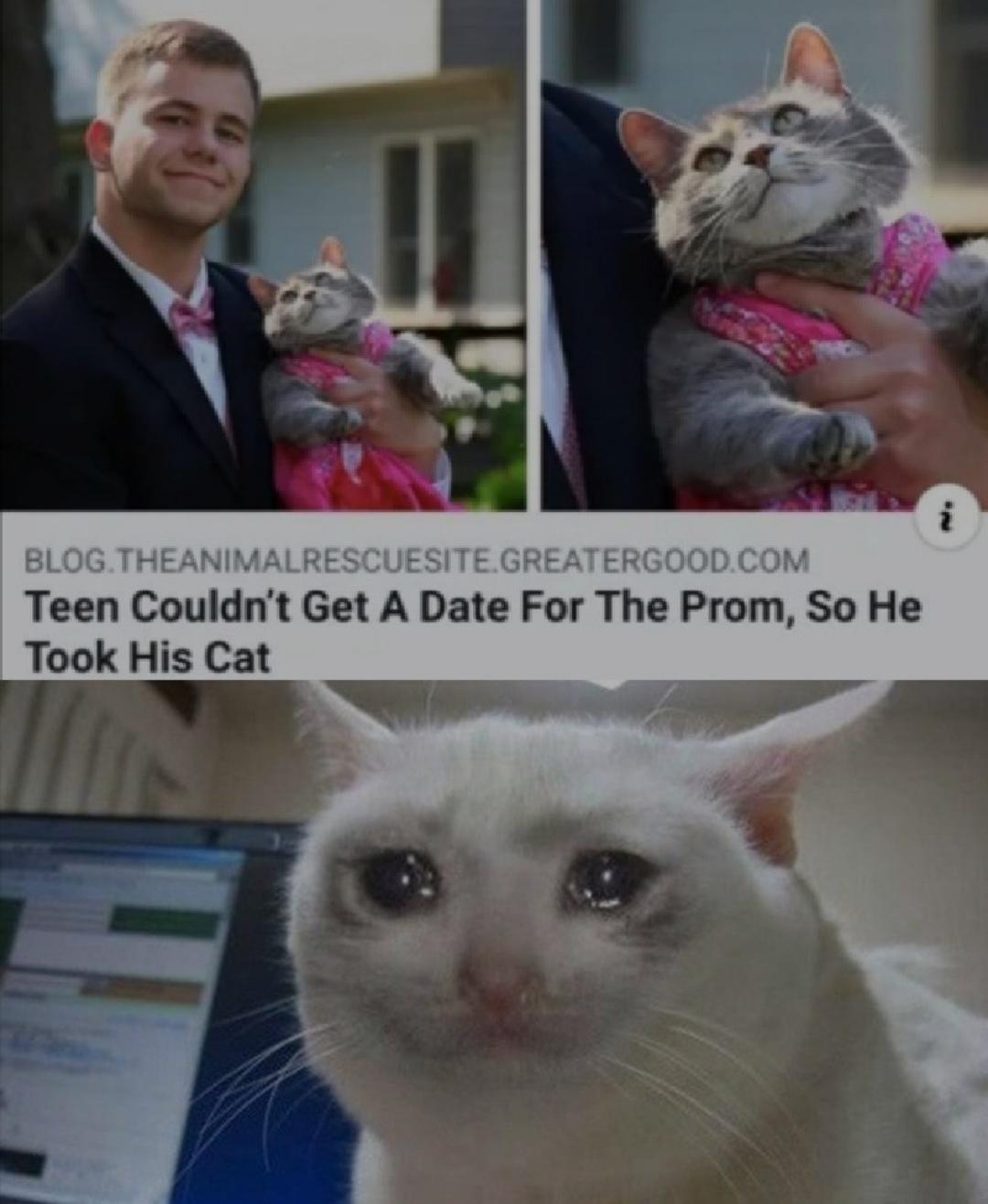 Thank you hooman | /r/wholesomememes | Wholesome Memes | Know Your Meme