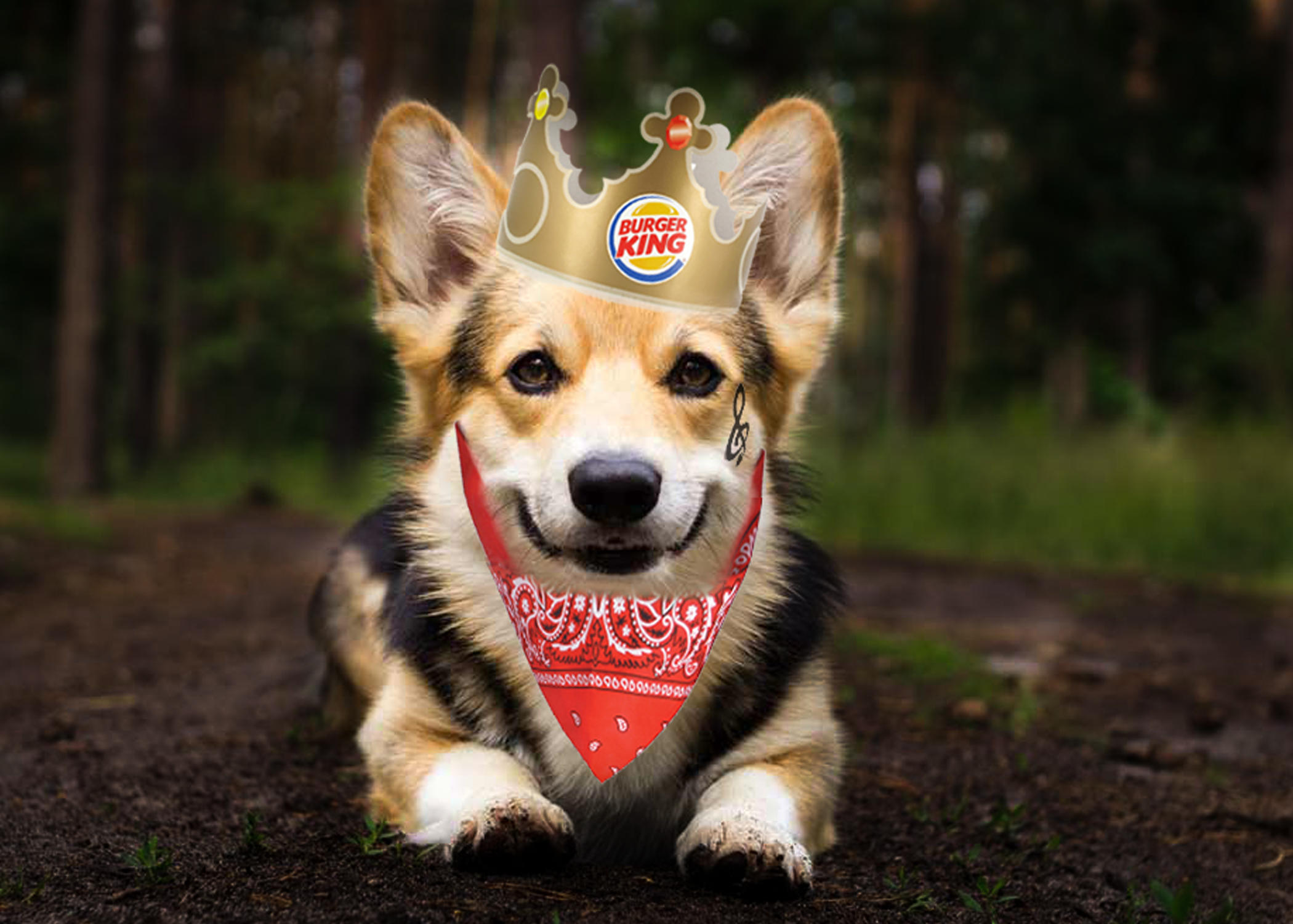 King's Corgi | JetBlue Racist Burger King | Know Your Meme