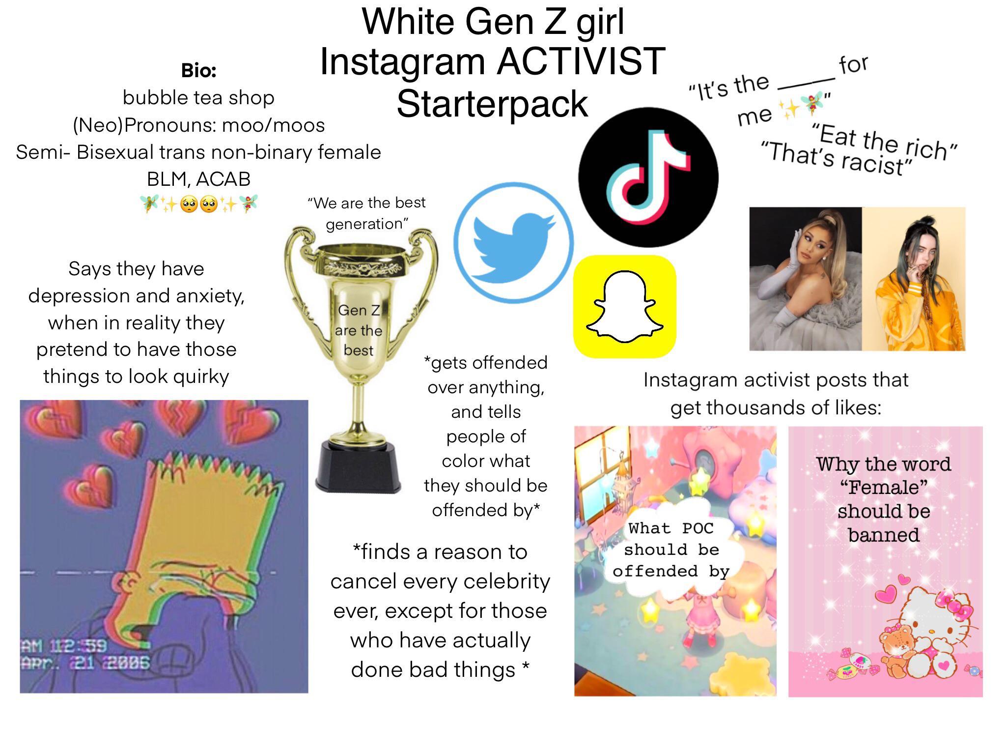 White Gen Z girl Instagram activist starter pack (made by a Gen Z) | /r ...