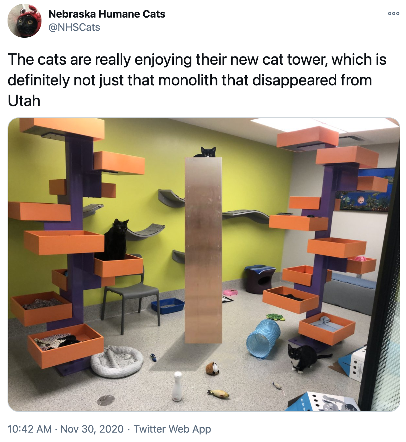 The cats are really enjoying their new cat tower, which is definitely ...