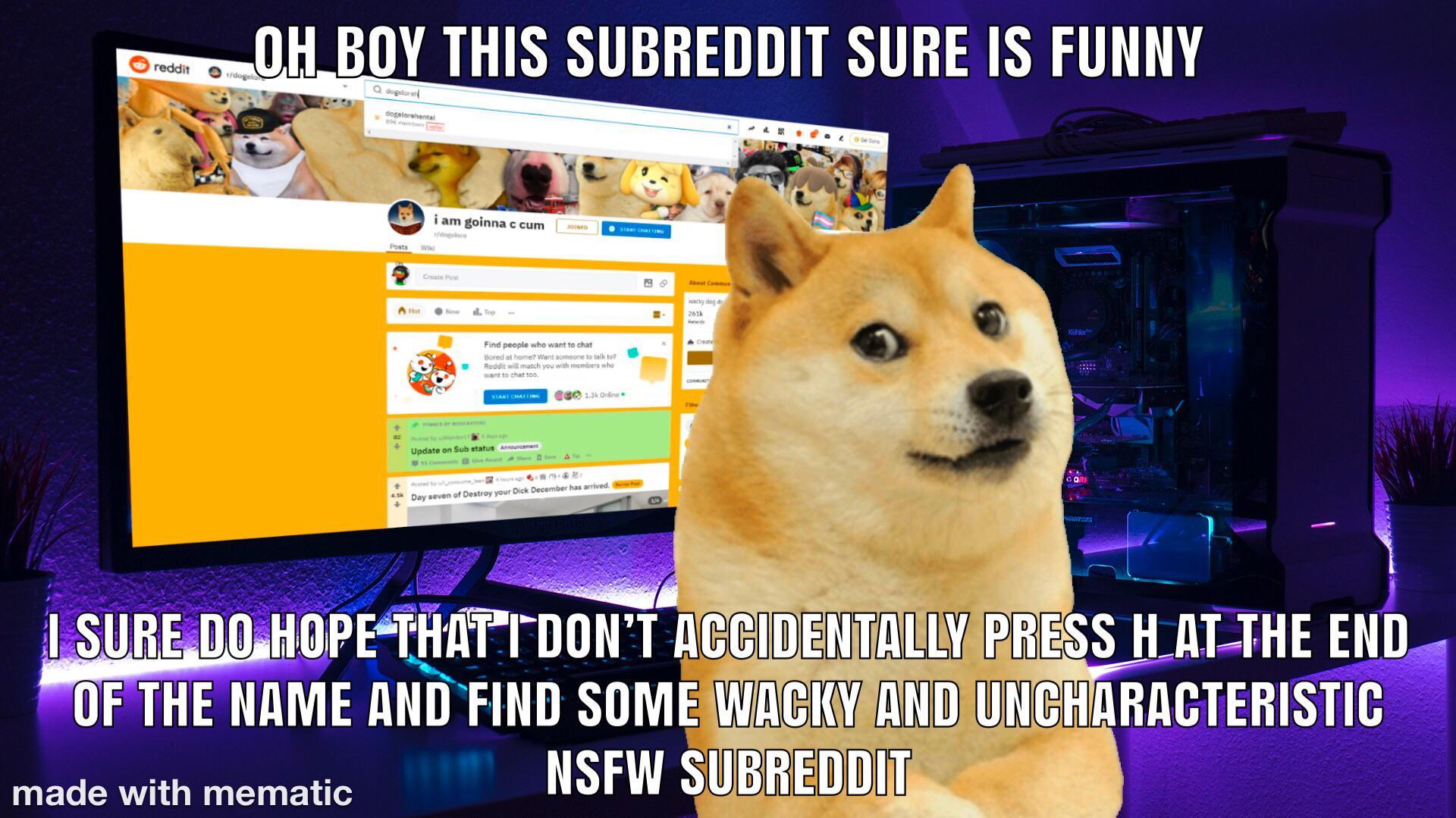 Le gouge my eyes out has arrived | /r/dogelore | Ironic Doge Memes ...