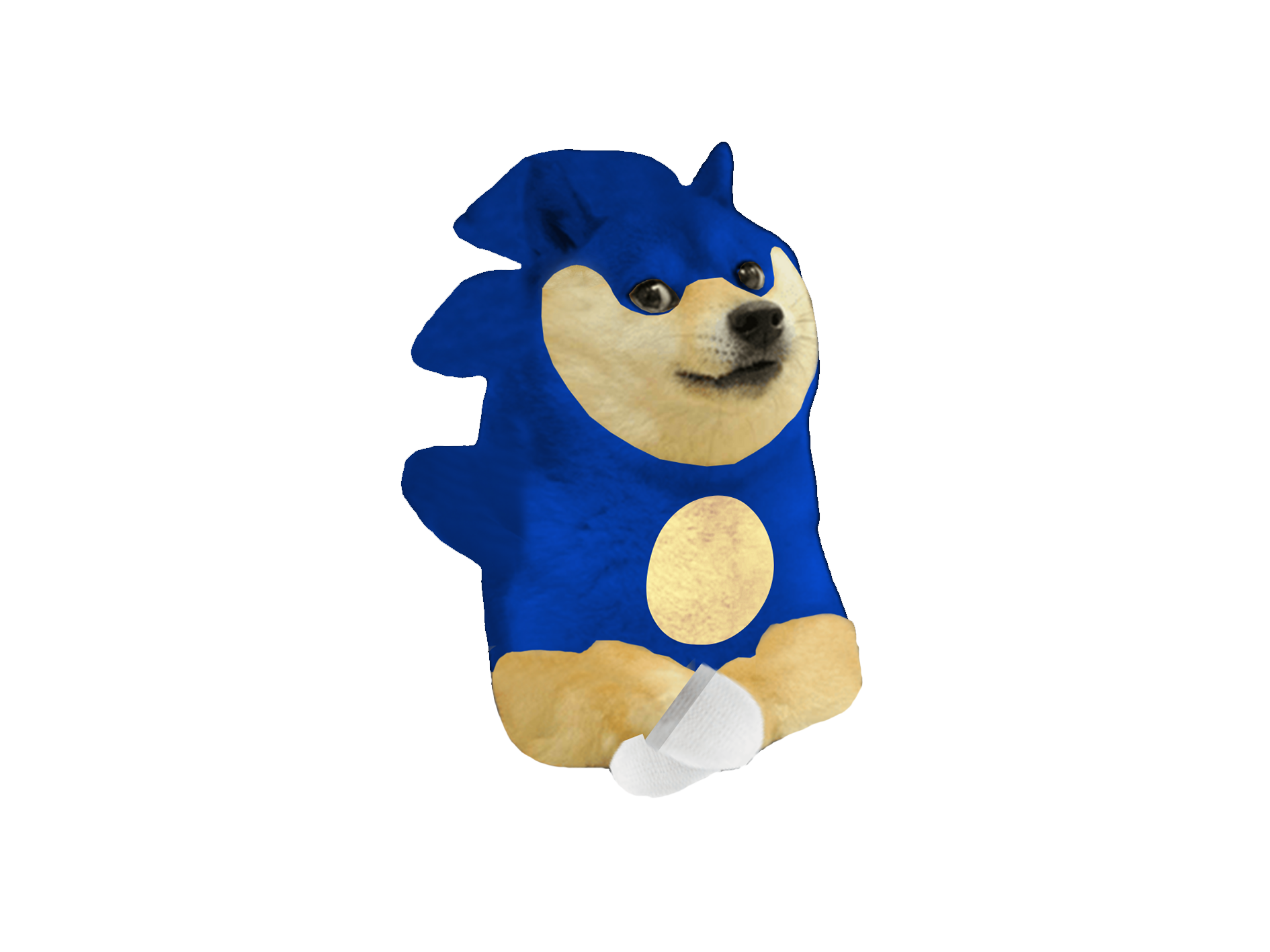 New Sonic Template | /r/dogelore | Ironic Doge Memes | Know Your Meme