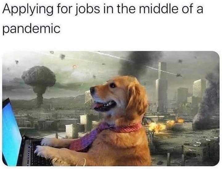 gotta work | Dogs | Know Your Meme